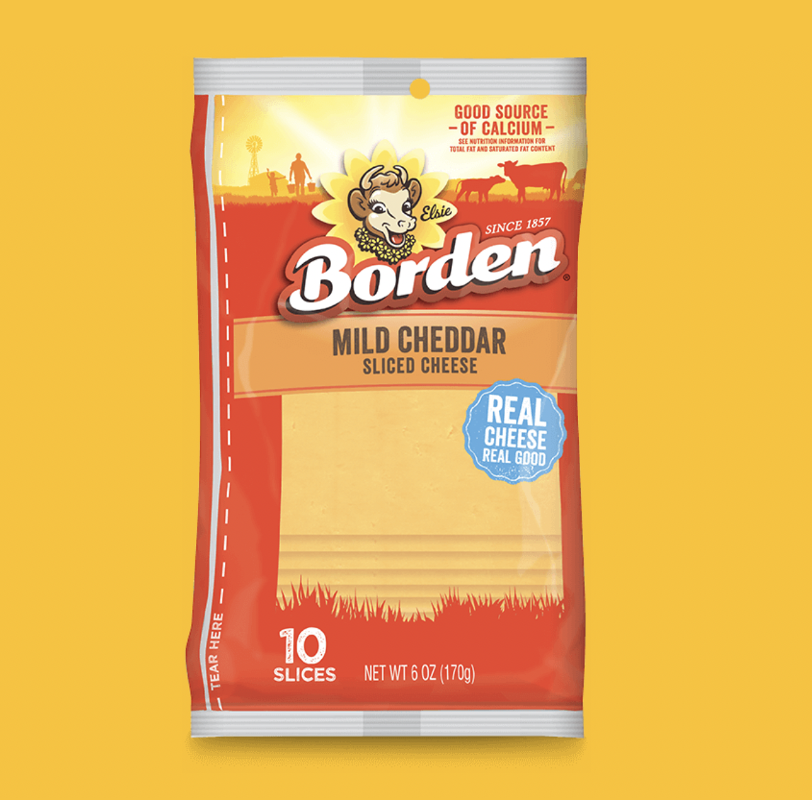 Borden's Best Cheese For Special Diets - Borden® Cheese